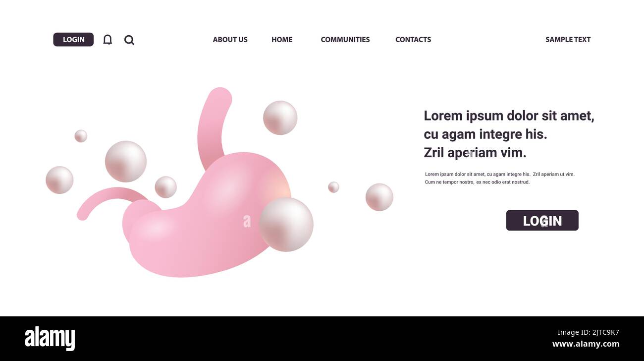 anatomical stomach structure human internal organ anatomy healthcare ...