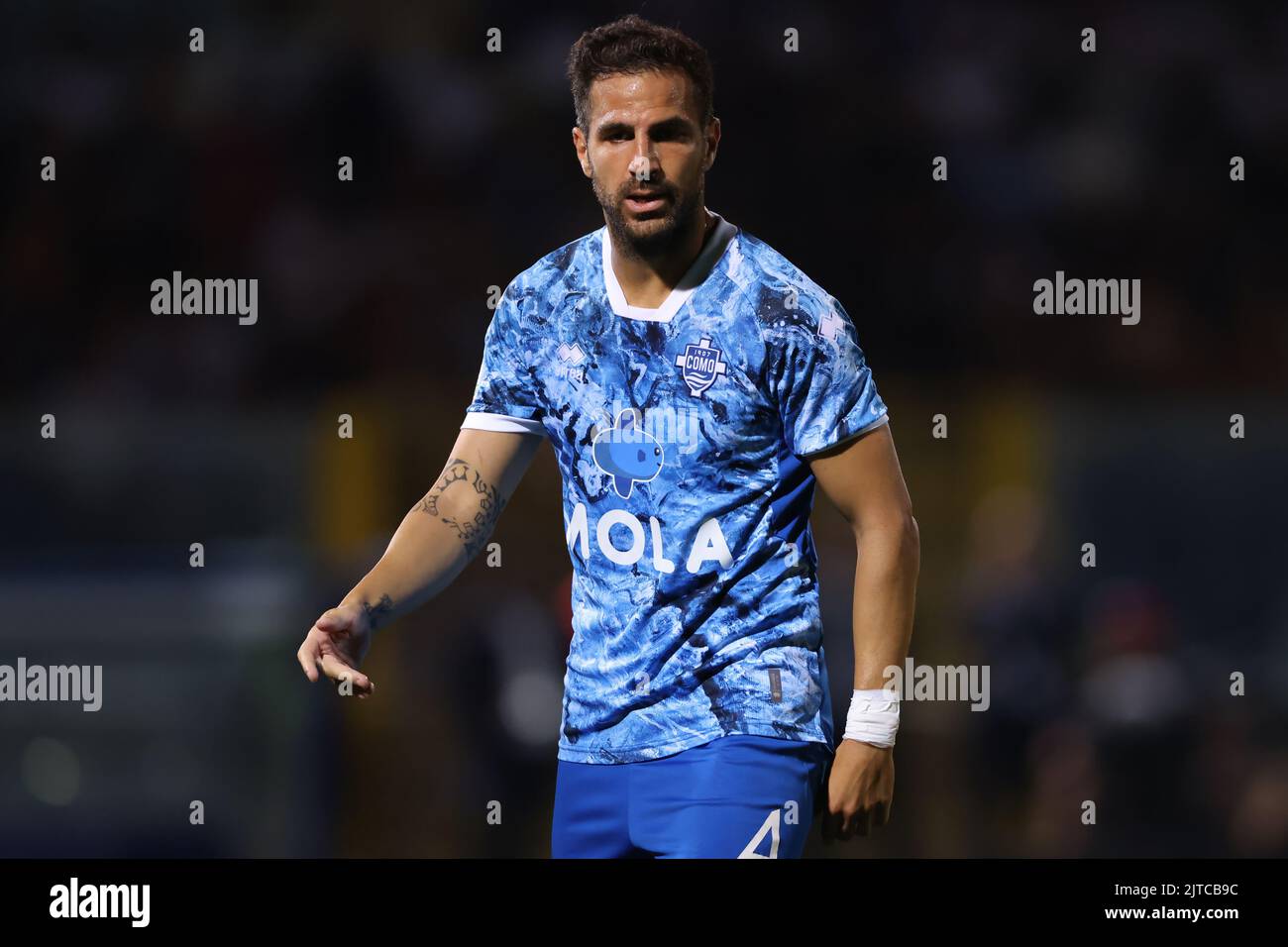 Como, Italy, 29th August 2022. Cesc Fabregas of Como reacts during the ... Como, Italy, 29th August 2022. Cesc Fabregas of Como reacts during the ...