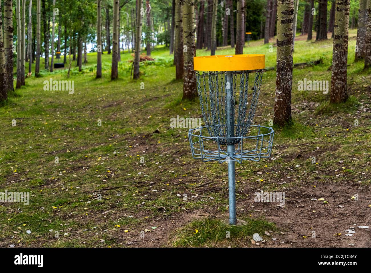 Frisbee golf in the Forest near Örebro kommun, Sweden Stock Photo - Alamy