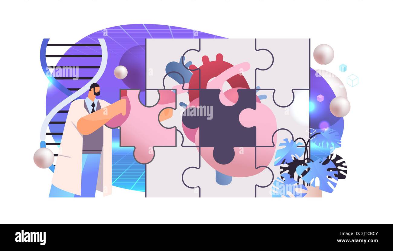 scientist putting puzzle pieces of anatomical heart human body internal ...