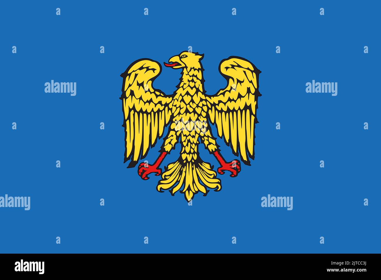 flag of Friul, Europe. flag representing extinct country, ethnic group ...
