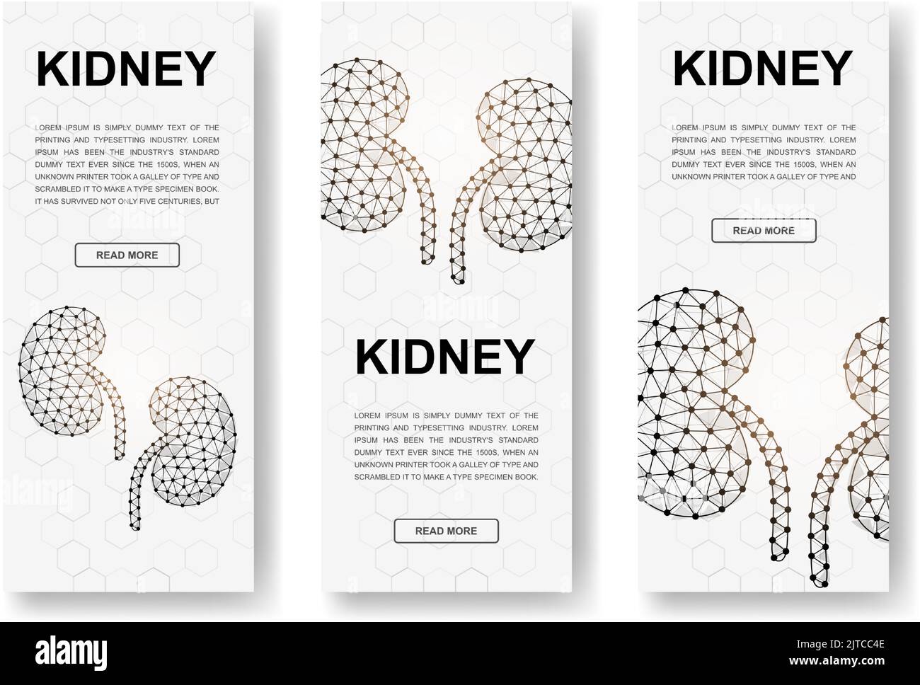 Set of three Kidneys polygonal vertical banners. 3d Internal organ low poly symbols with ...