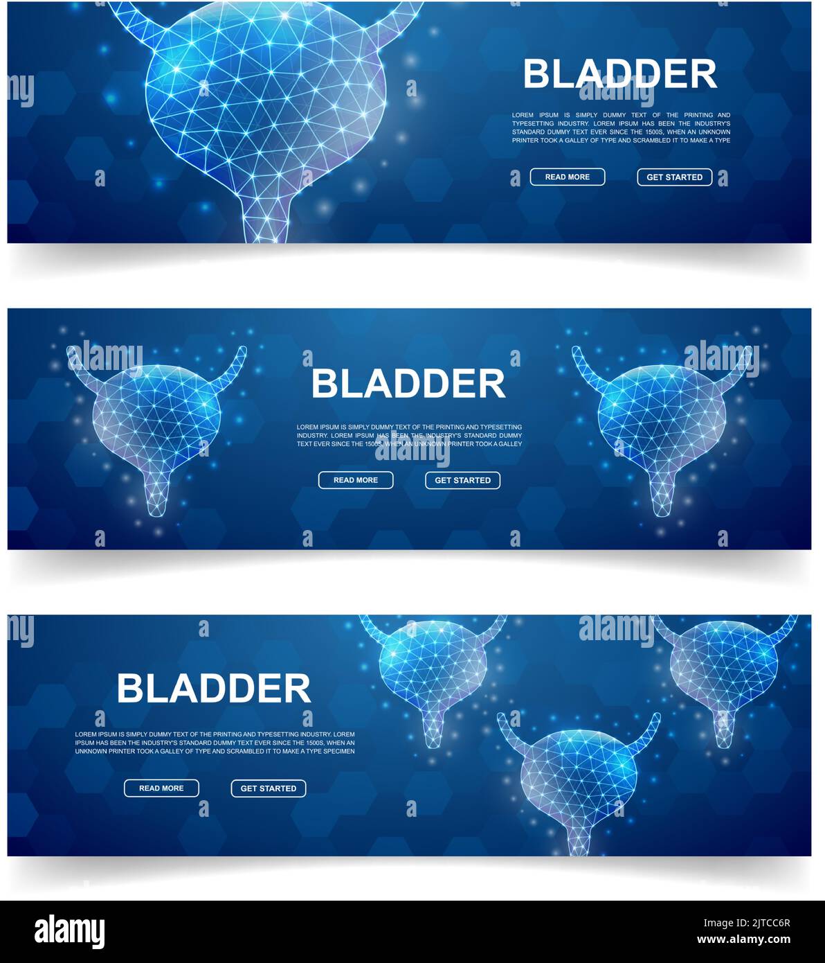 Set of three Bladder horizontal banners. Horizontal illustration for ...