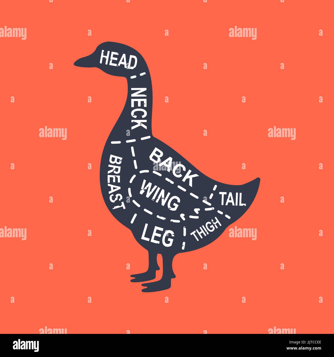 Goose diagram cuts. Butcher scheme poster. Cuts of goose meat. Meat ...