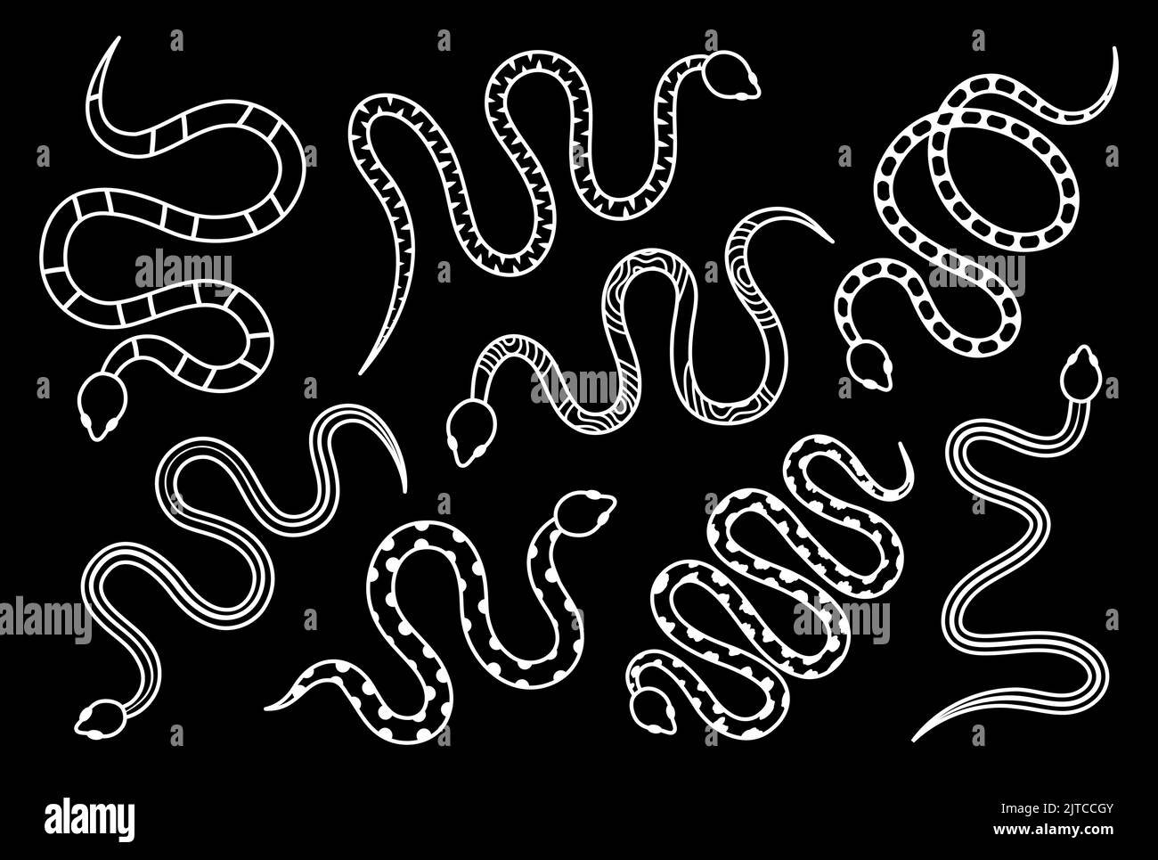 Silhouettes of snakes. Tropical toxic reptiles illustration. Dark ...