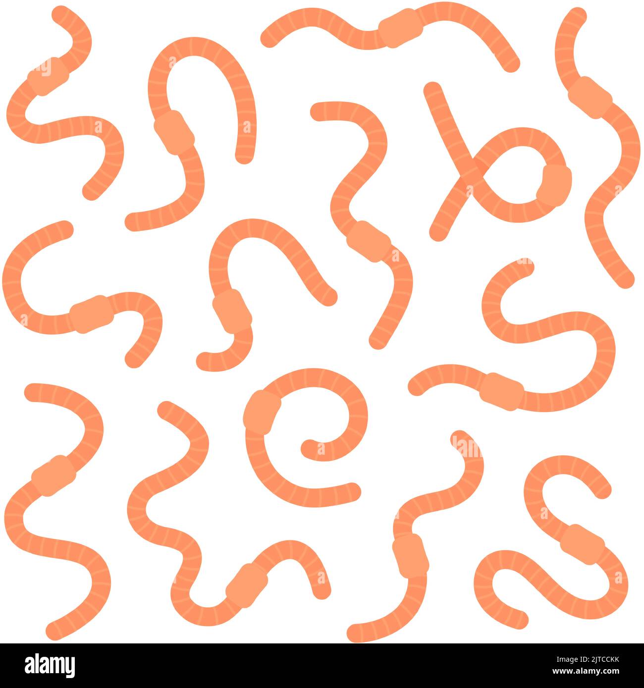 Curled earthworms set. Terrestrial annelids worms. Invertebrate ...