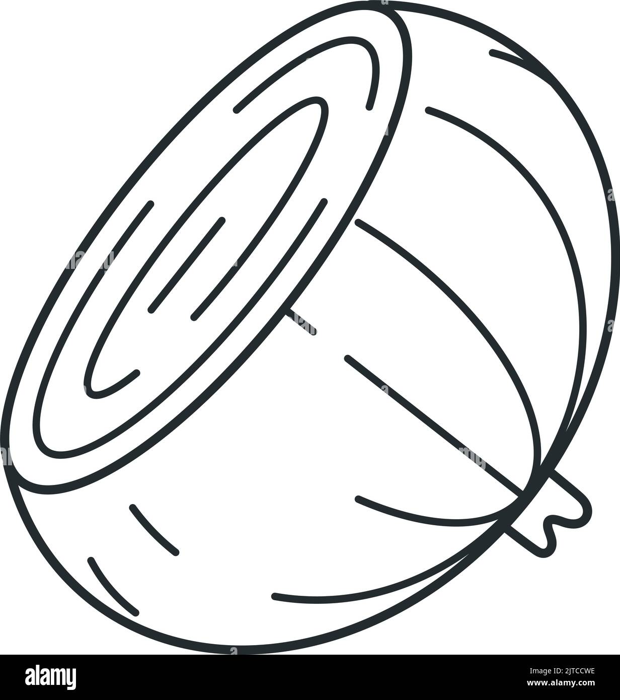 fresh half onion vegetable Stock Vector Image & Art - Alamy