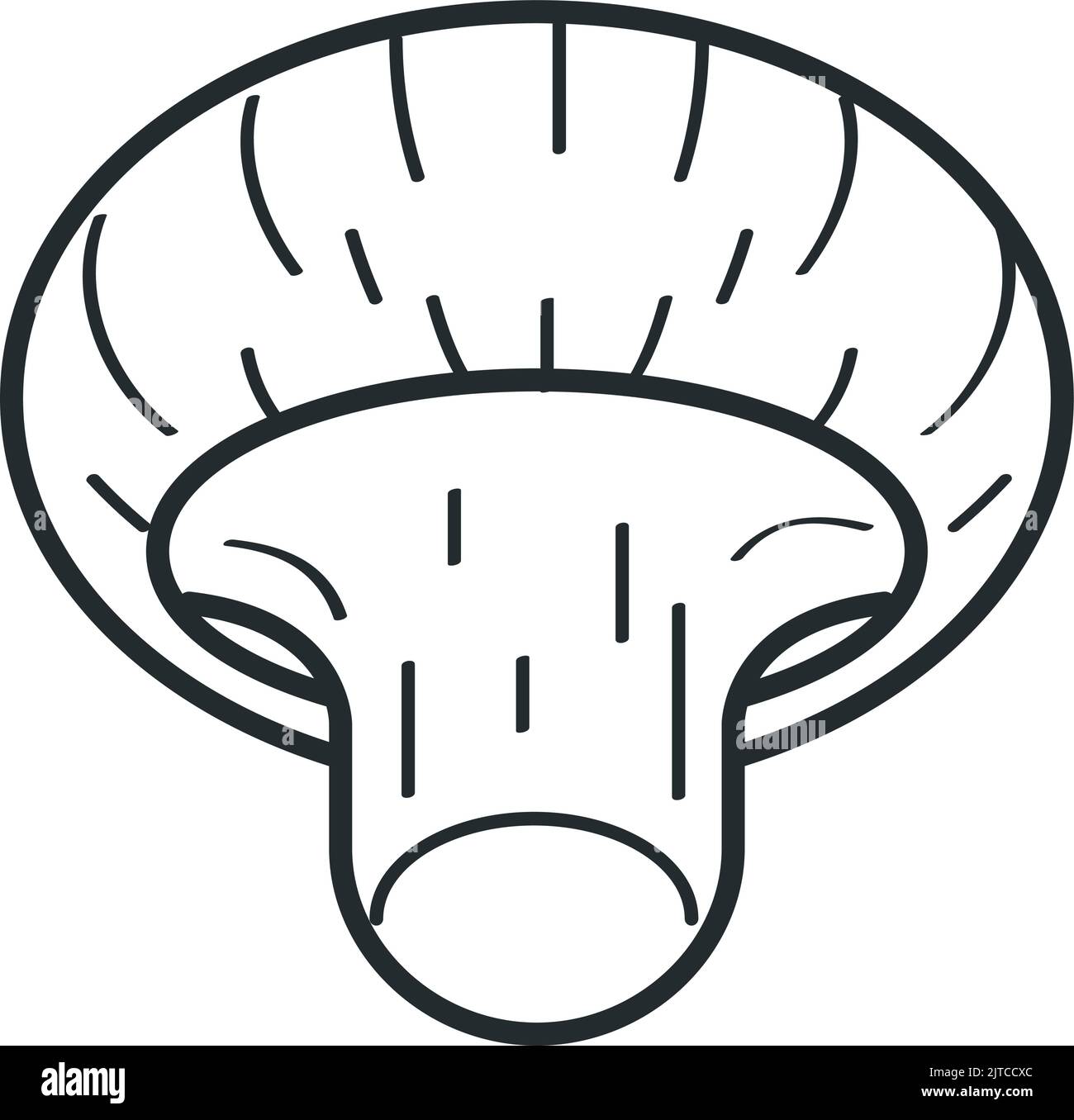 fresh mushroom vegetable Stock Vector Image & Art - Alamy