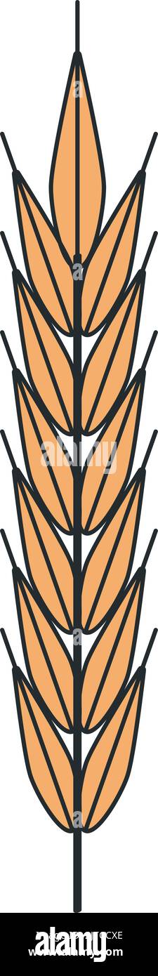 barley spike doodle style Stock Vector Image & Art - Alamy