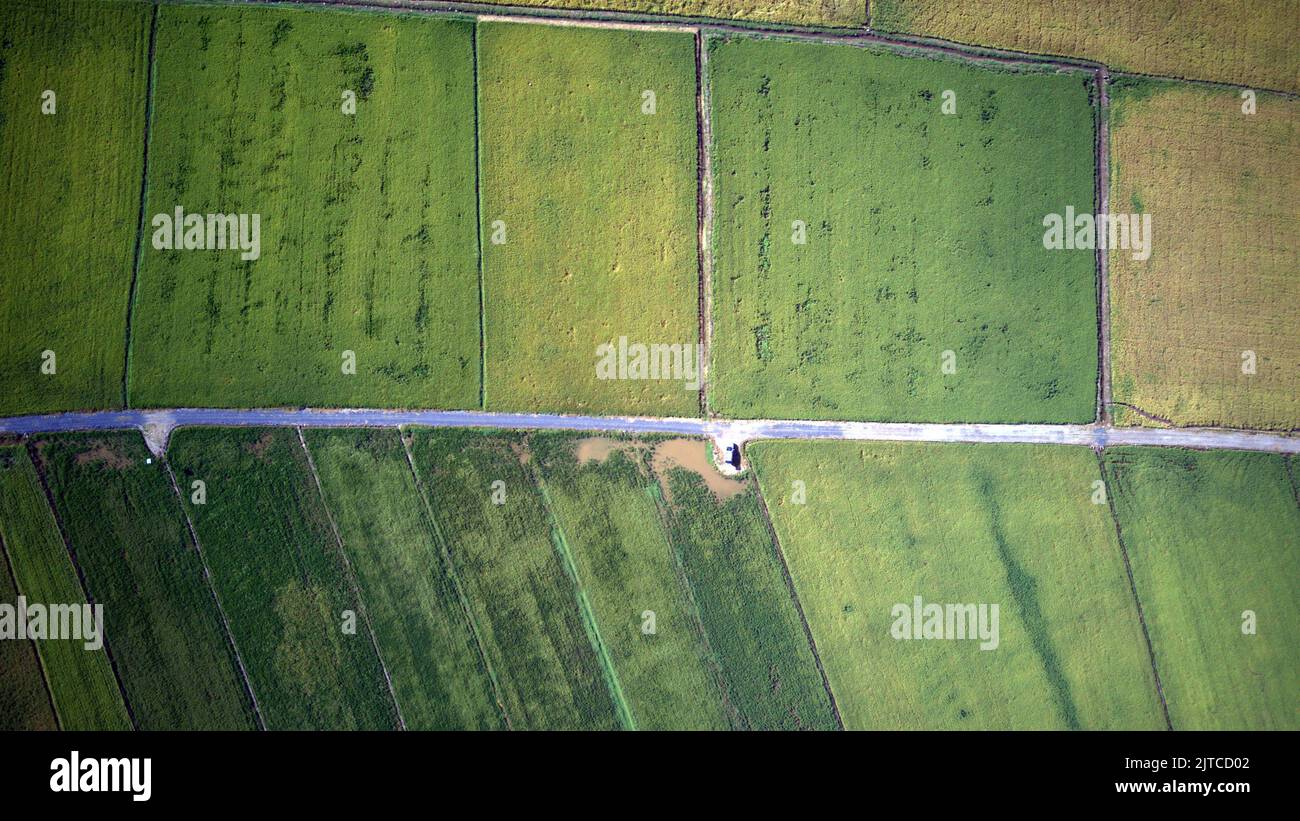 An aerial view of green fields Stock Photo - Alamy