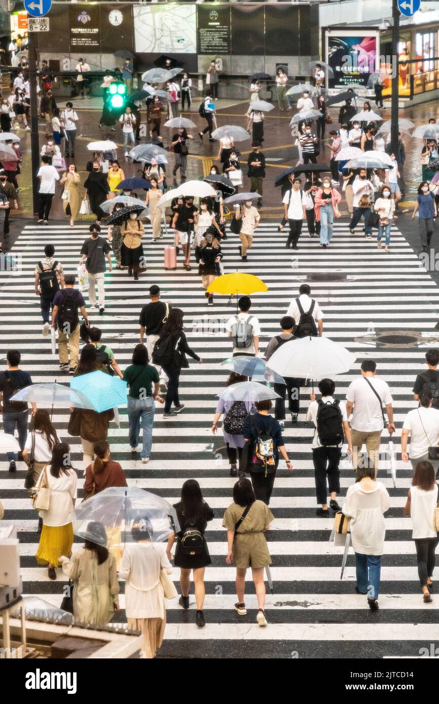 Pedestrians with umbrellas cross the multi-directional scramble ...