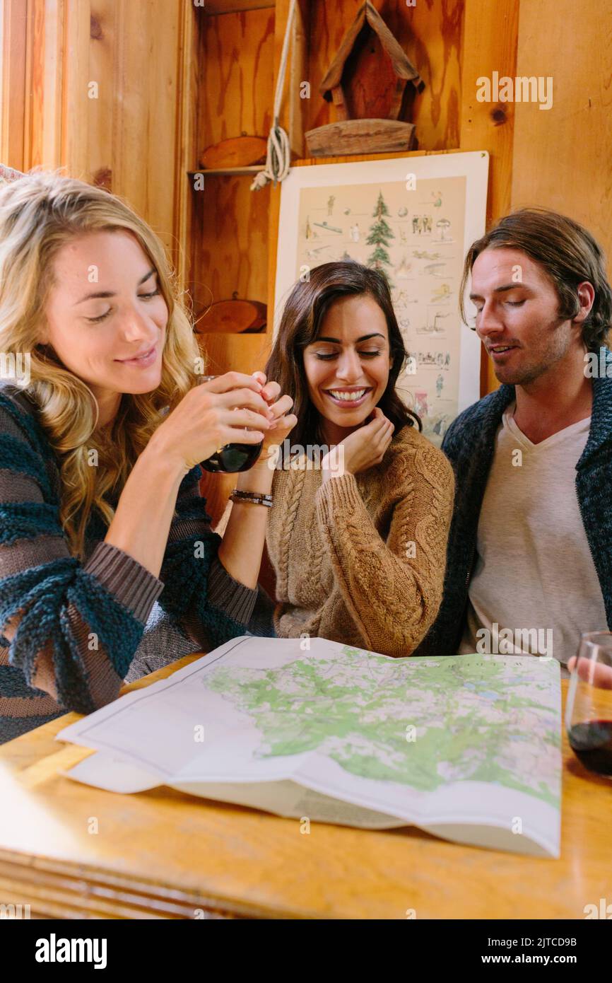 Friends plan a vacation together Stock Photo - Alamy
