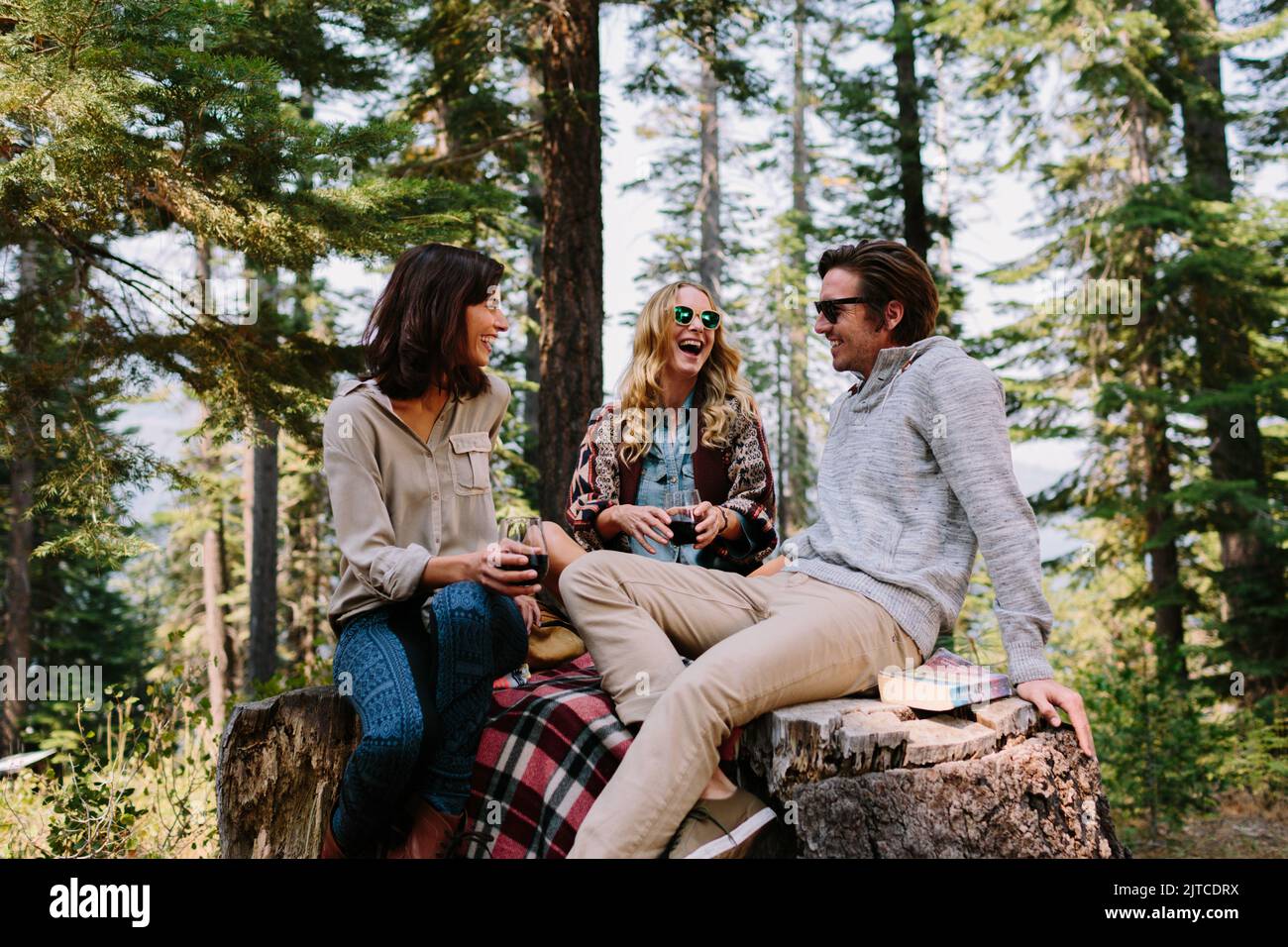 A group of friends on vacation Stock Photo - Alamy