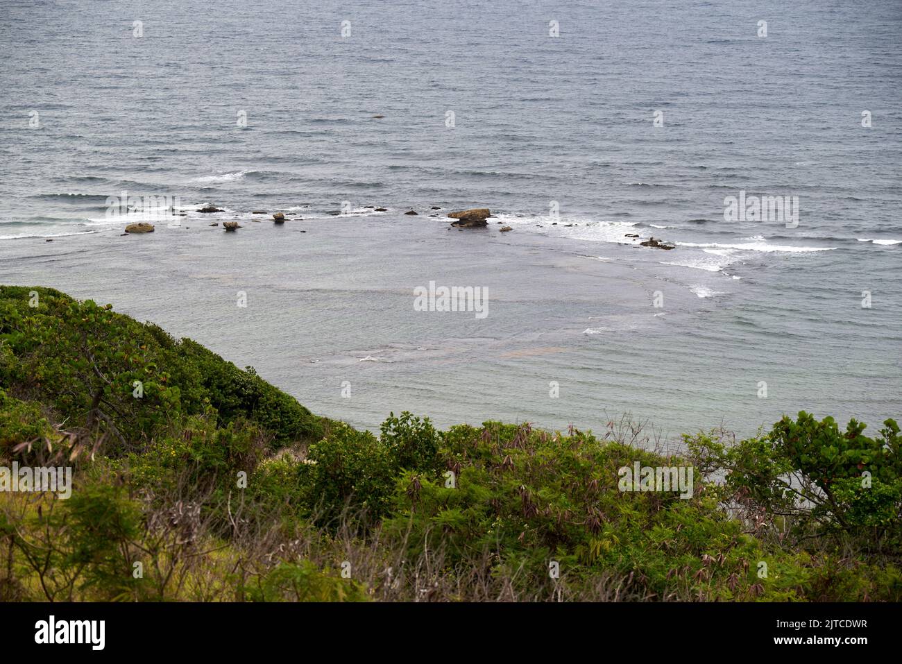A beautiful view of green trees with a sea background Stock Photo - Alamy