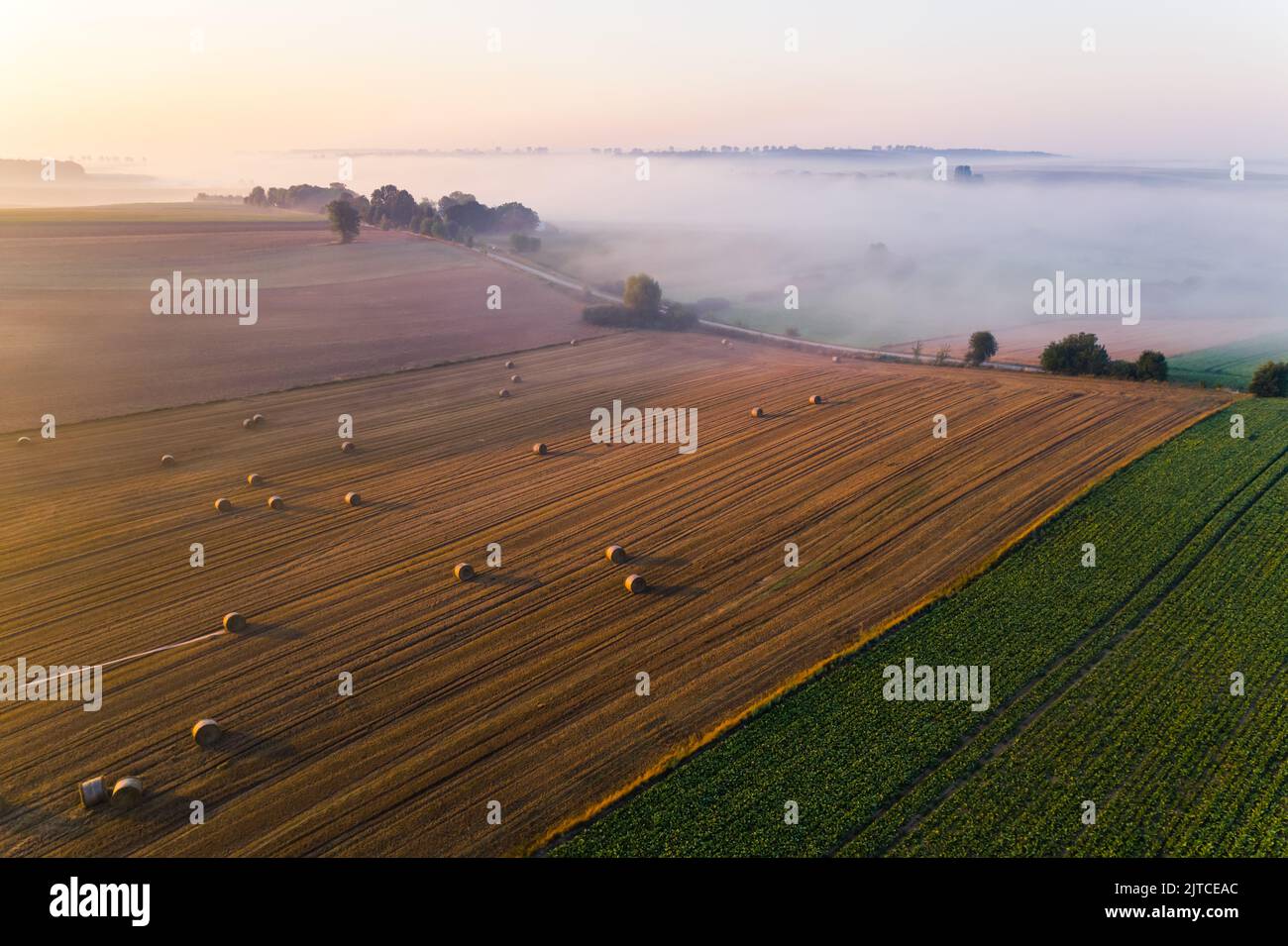 Birdseye view of green and golden fields with hay bales and trees ...