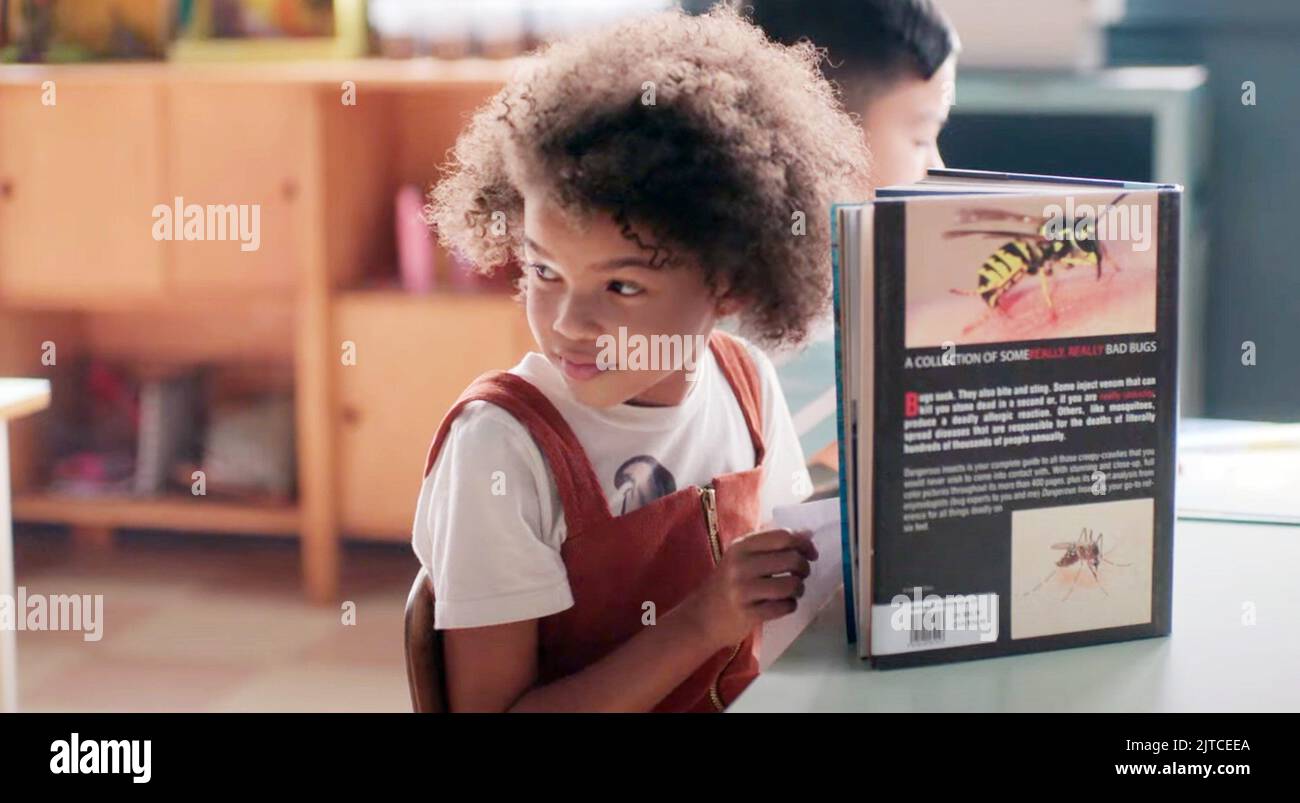 IVY + BEAN: THE GHOST THAT HAD TO GO, Madison Skye Validum, 2022 ...