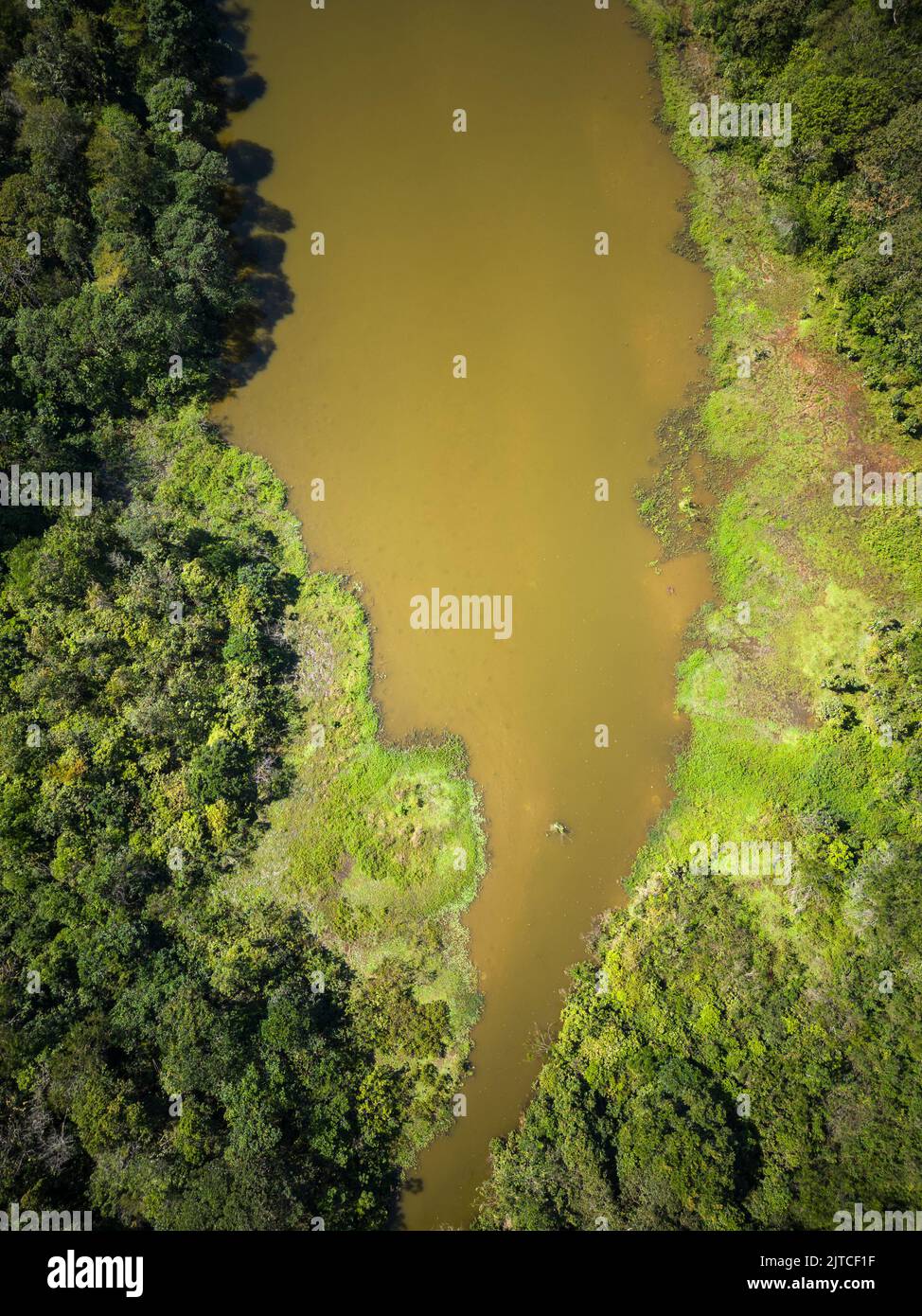 Beautiful top down view to green rainforest lake with muddy water Stock ...