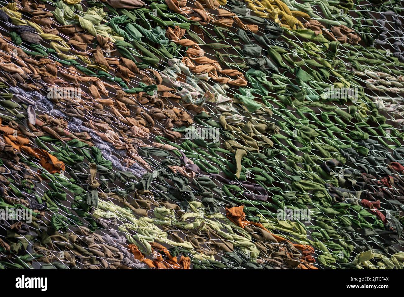 Mesh weaving. Camouflage grids. War in Ukraine. Shades of green. Khaki ...