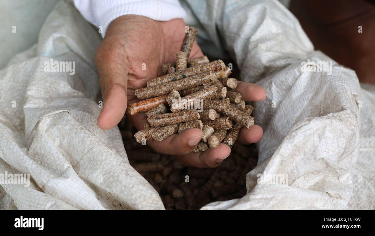 Hand of a grown man holding a wood pellet Stock Photo - Alamy