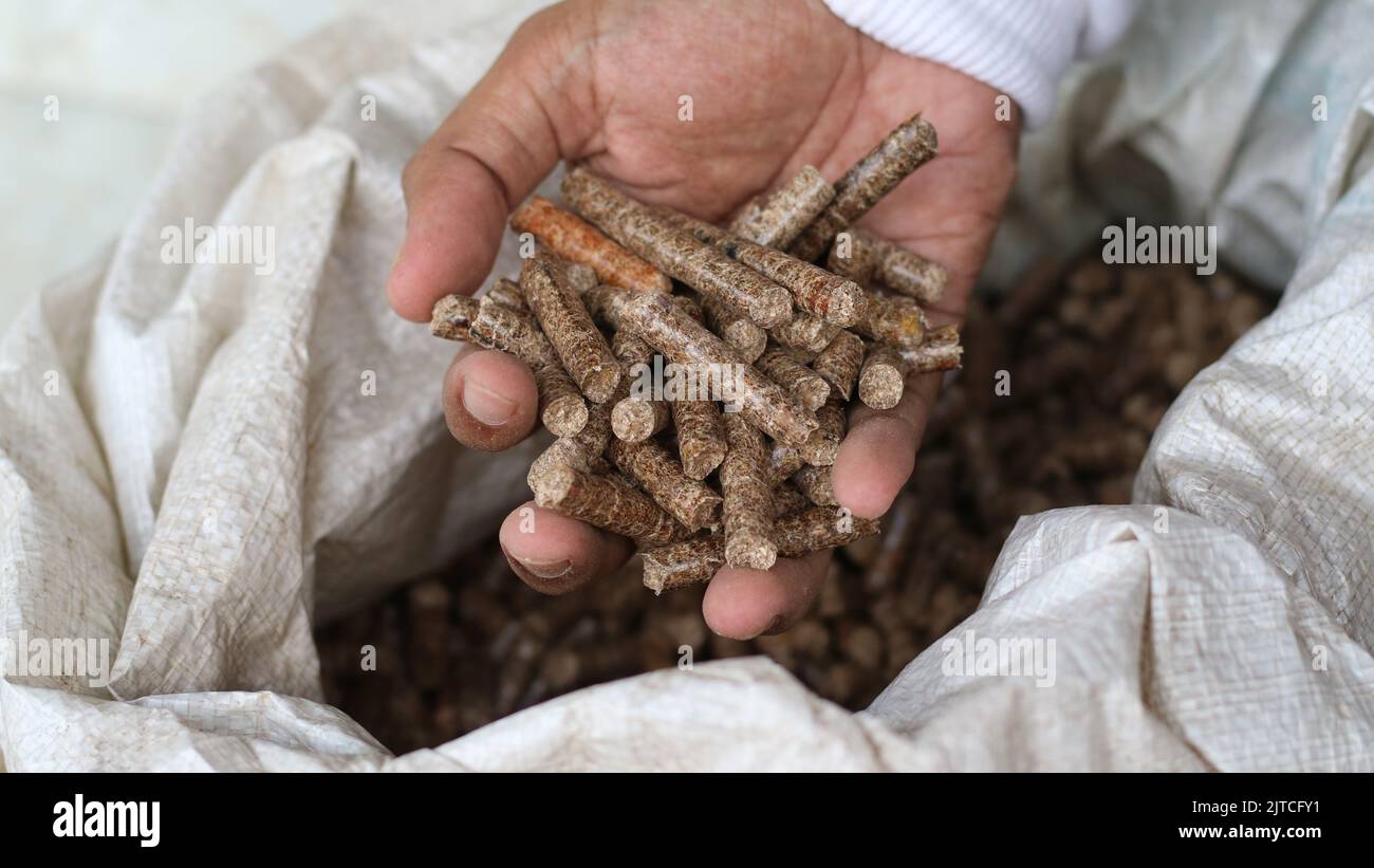 Hand of a grown man holding a wood pellet Stock Photo - Alamy