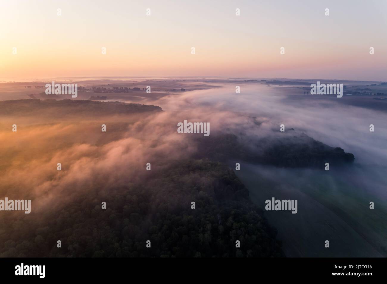 Thick fog spreading over forest hi-res stock photography and images - Alamy