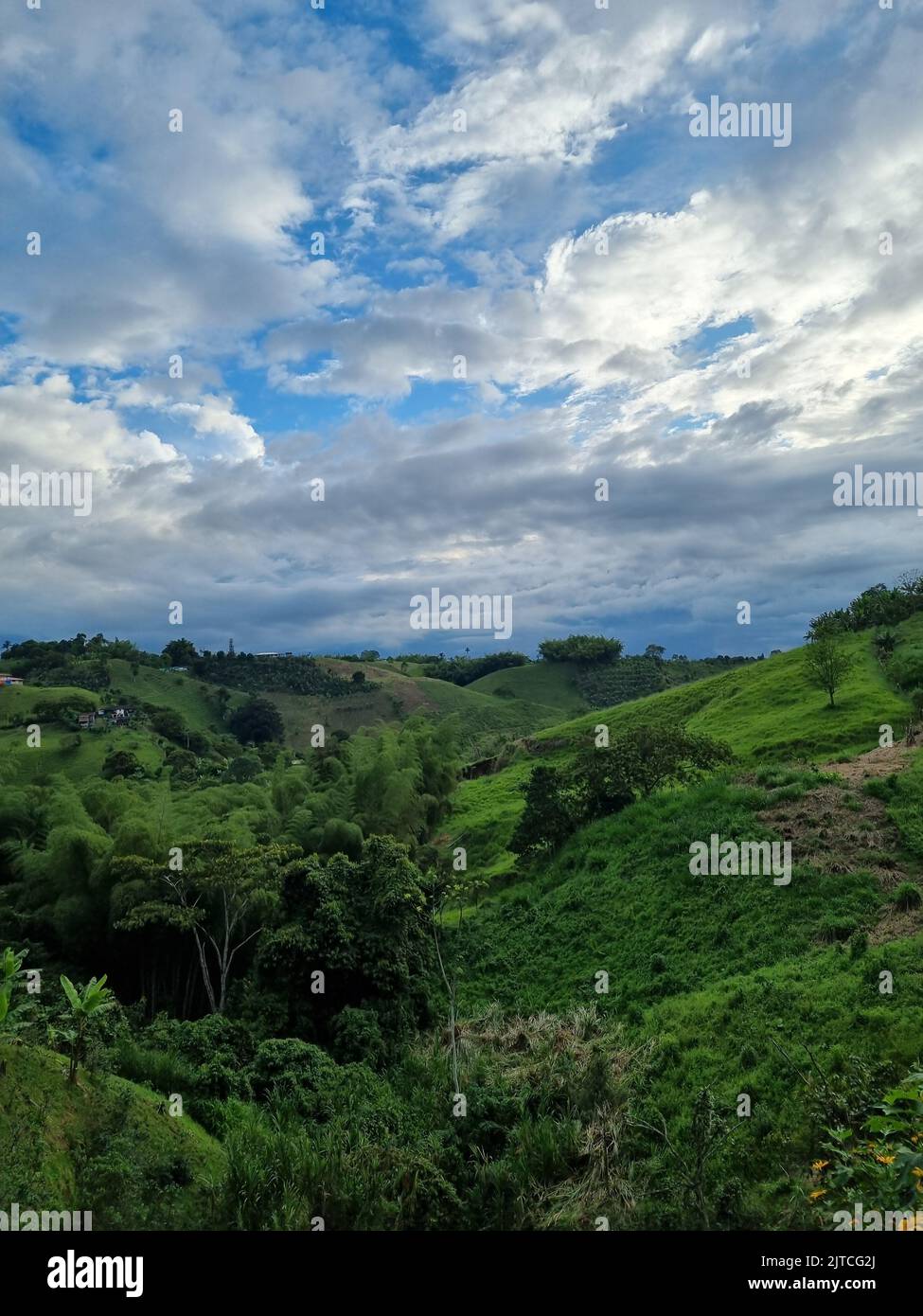 Amazing landscapes of Filandia Colombia Views of Colombia Stock Photo ...