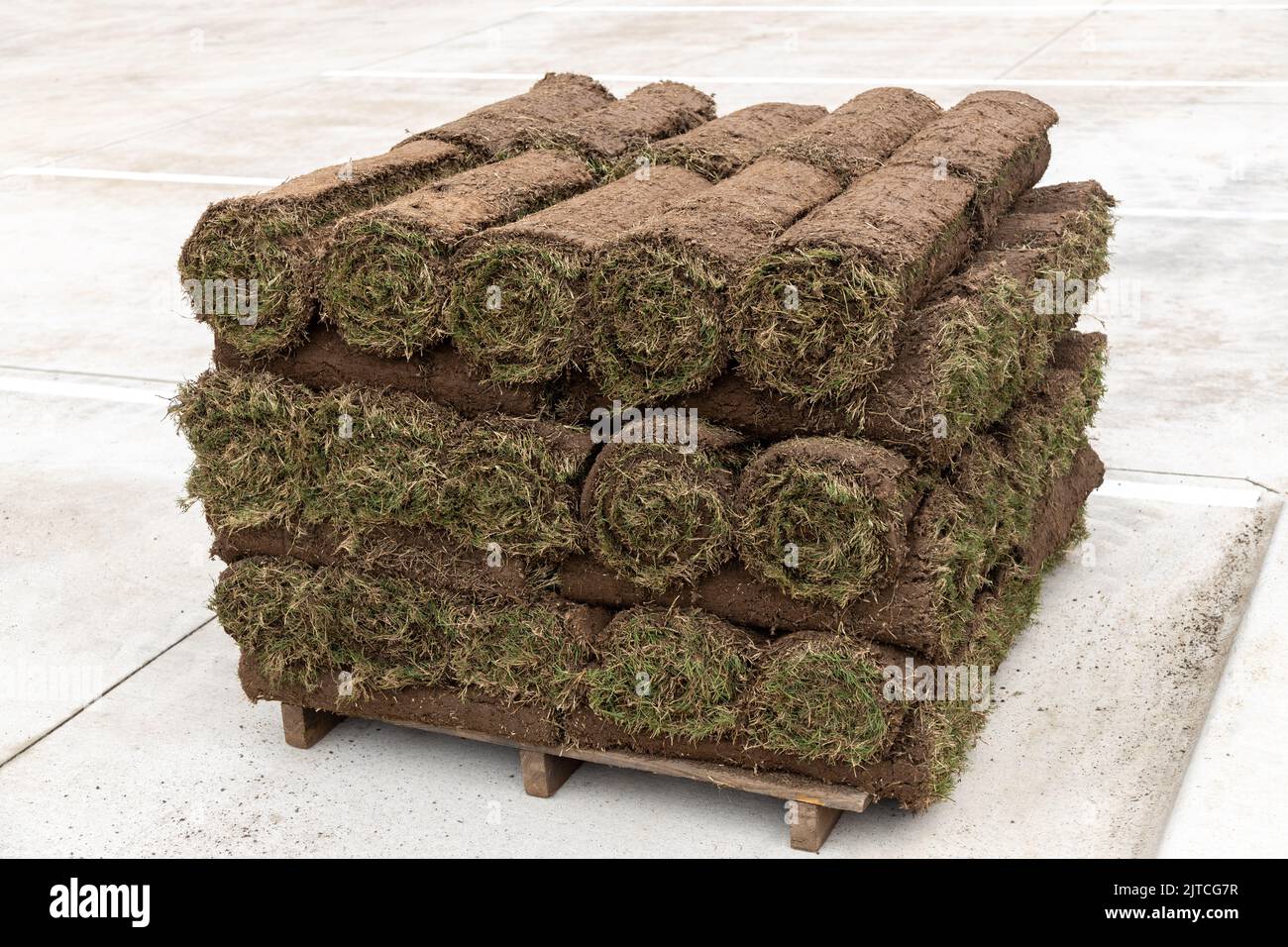 The rolled grass lawn closeup is ready for laying, a pile of perfect ...