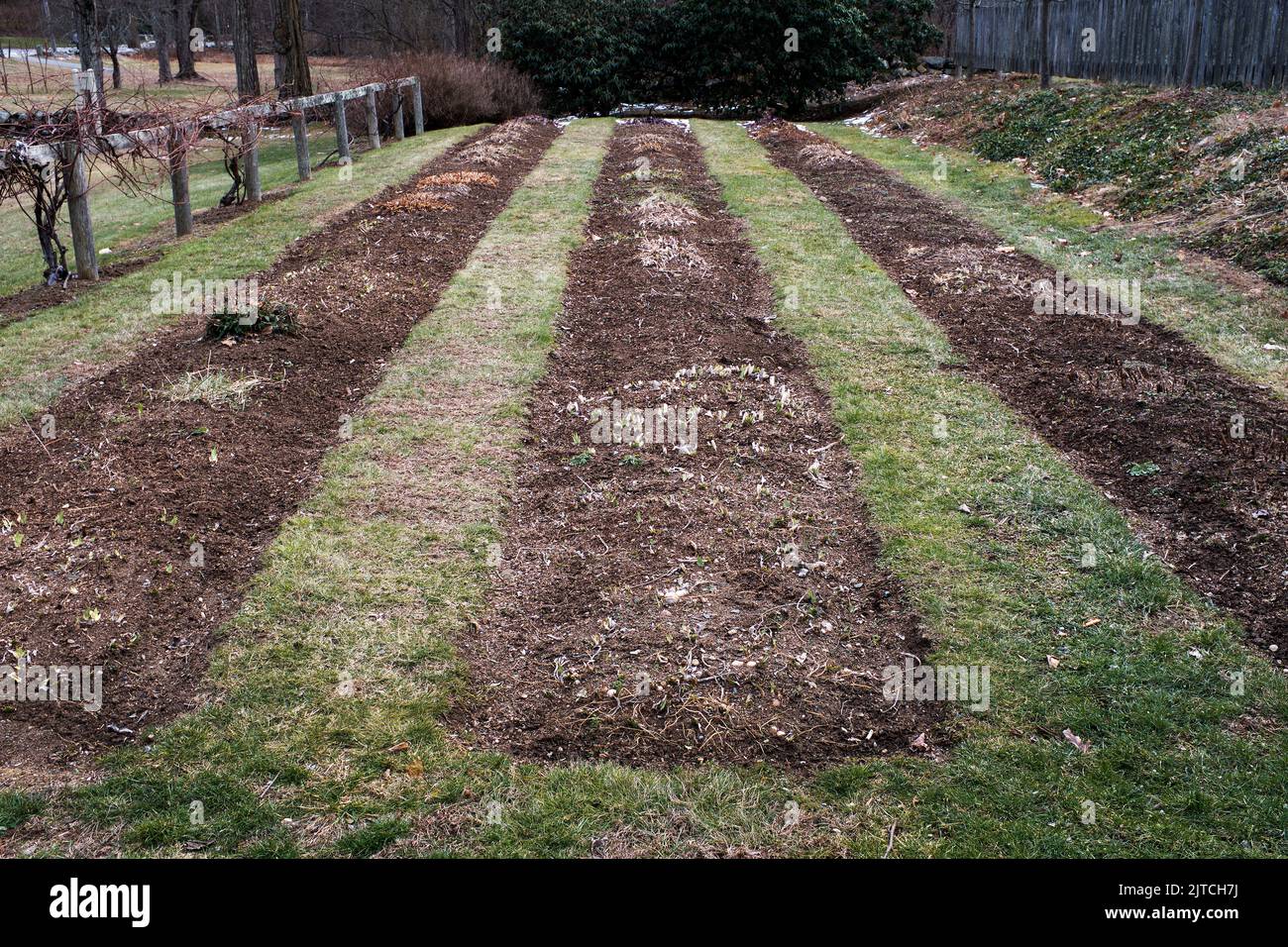 Three Rows of Raised Garden Beds Stock Photo - Alamy