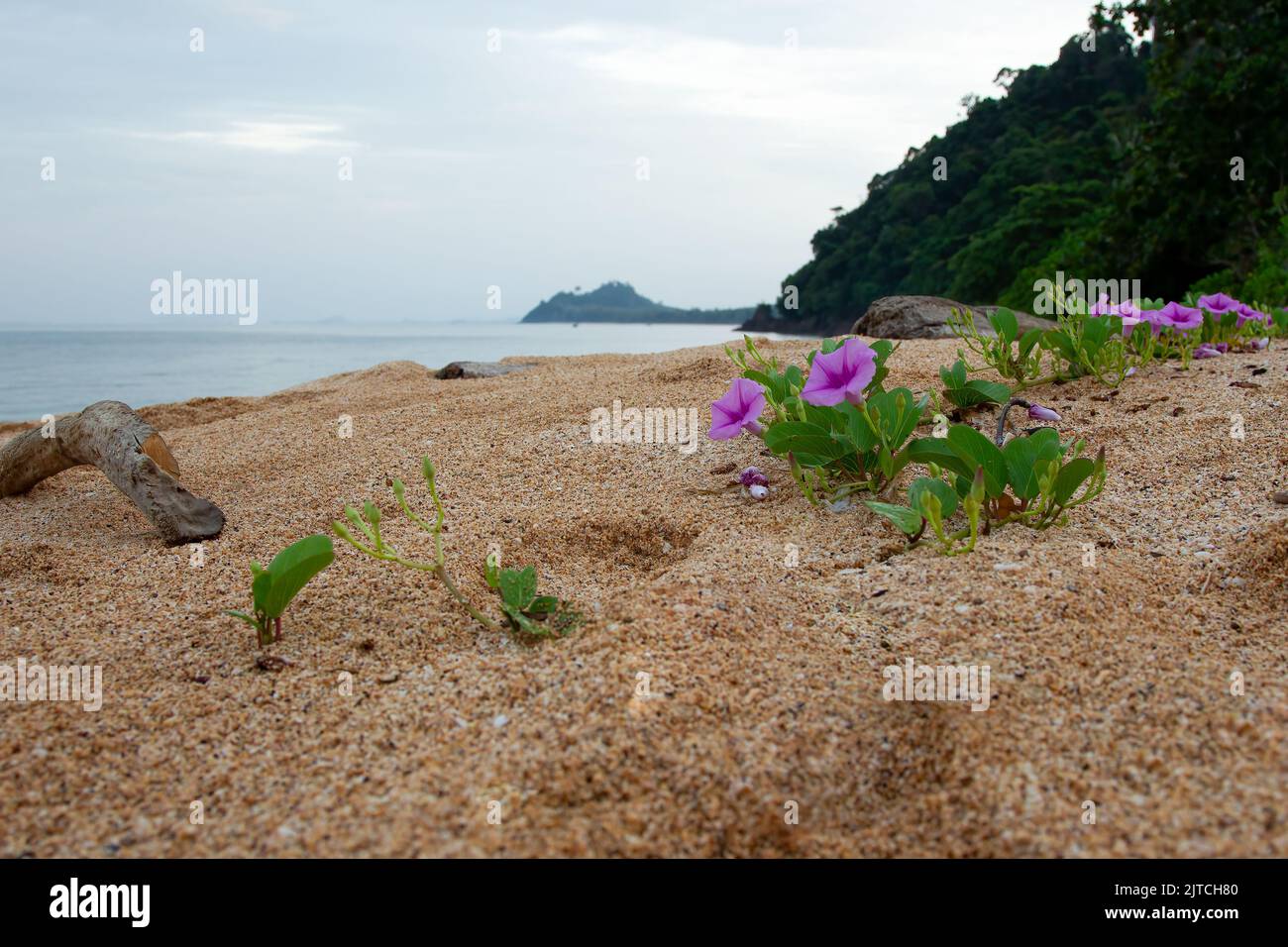 Ko libong thailand hi-res stock photography and images - Alamy