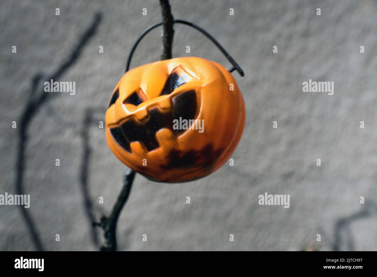 Lantern hanging on tree branch hi-res stock photography and images - Alamy