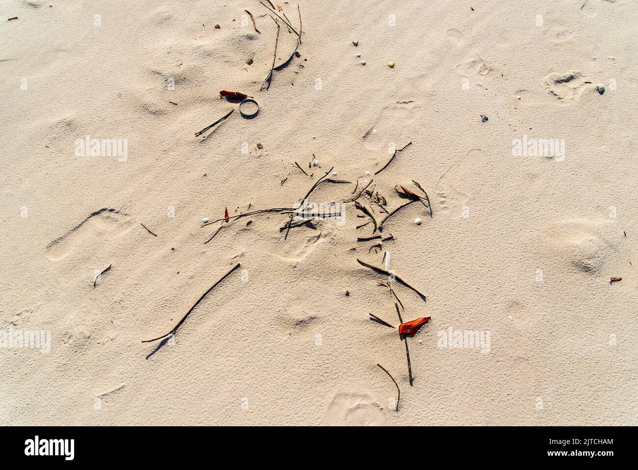 Beach sand filled frame with rocks and twigs. Guaibim beach in the city ...