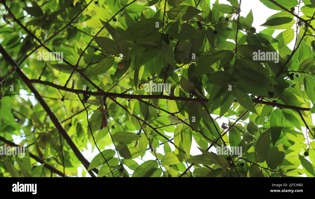 Exposed by the sun hi-res stock photography and images - Alamy