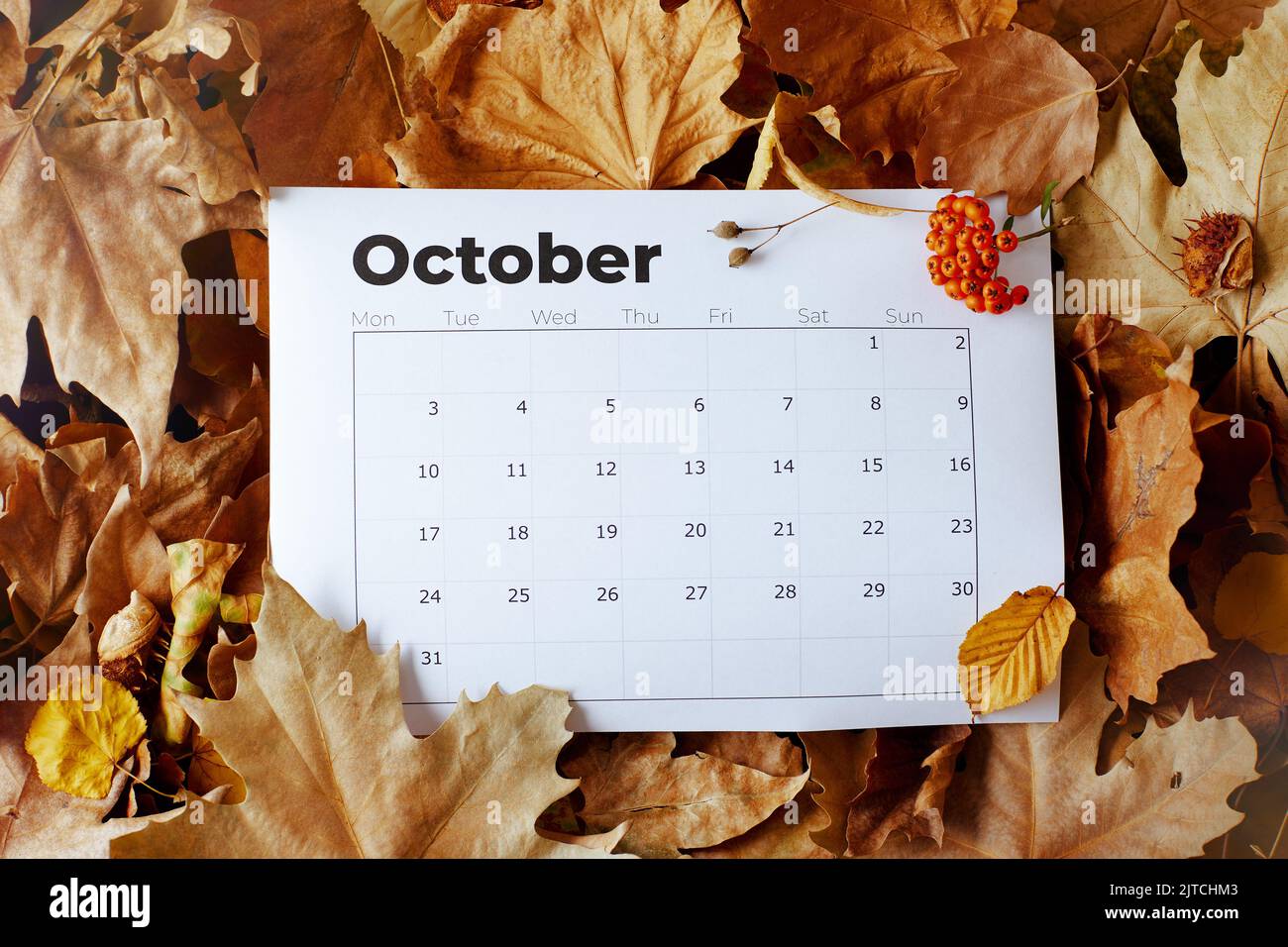 autumn background with October calendar, pyracantha and leaves Stock ...