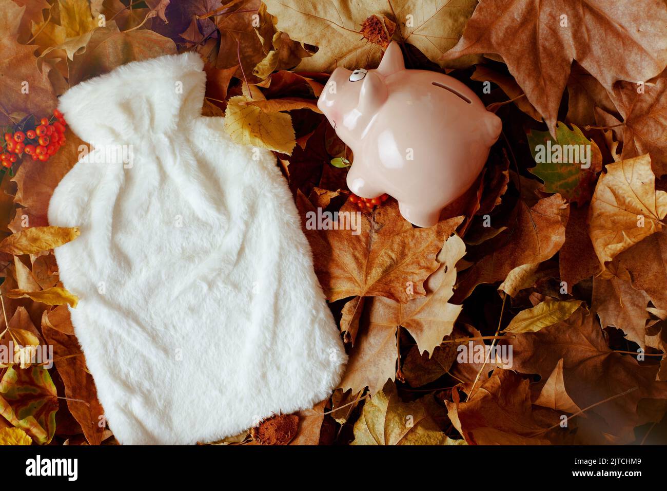 autumn background with warmer, piggy bank and leaves Stock Photo - Alamy