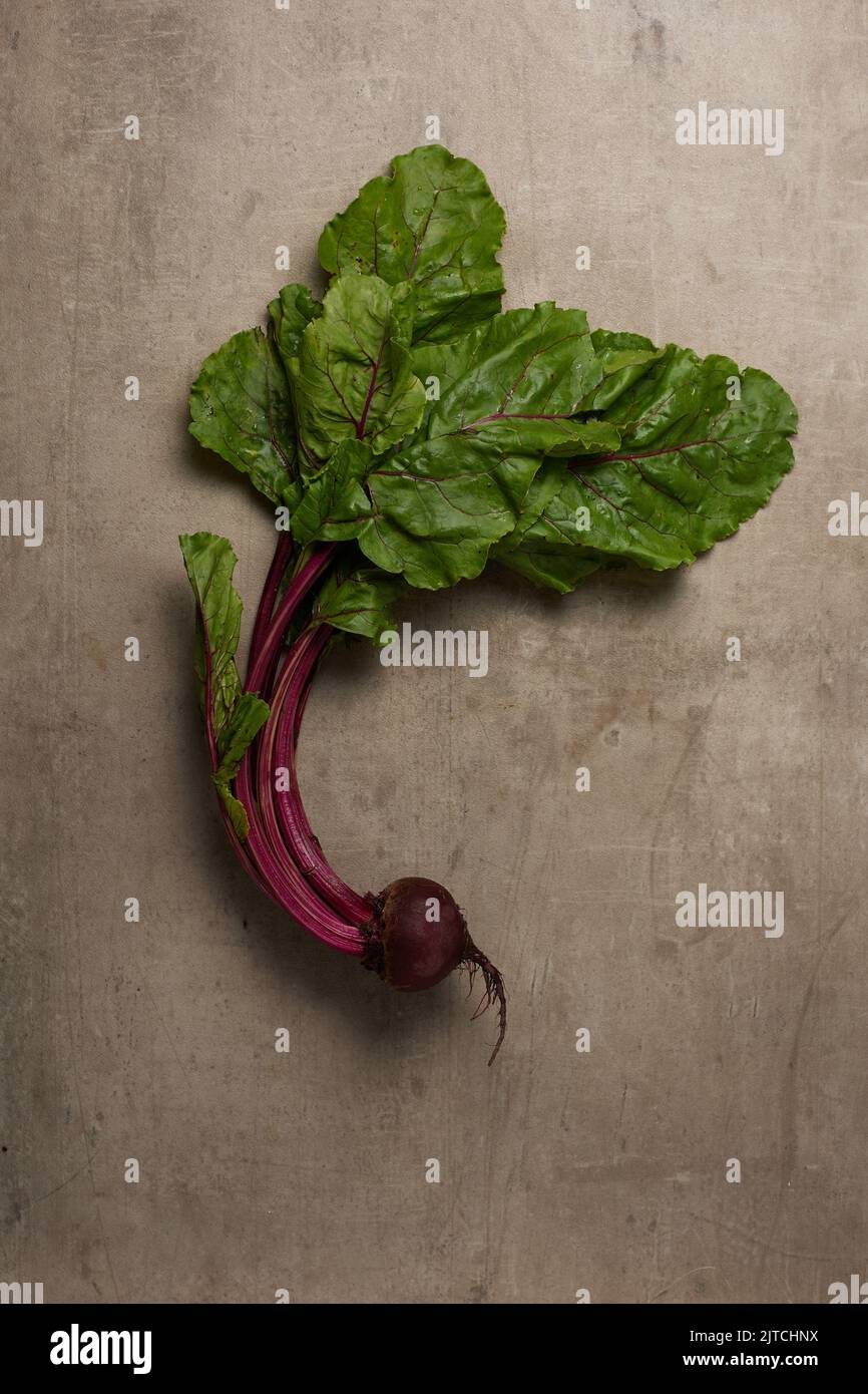 autumn background with beetroot Stock Photo - Alamy