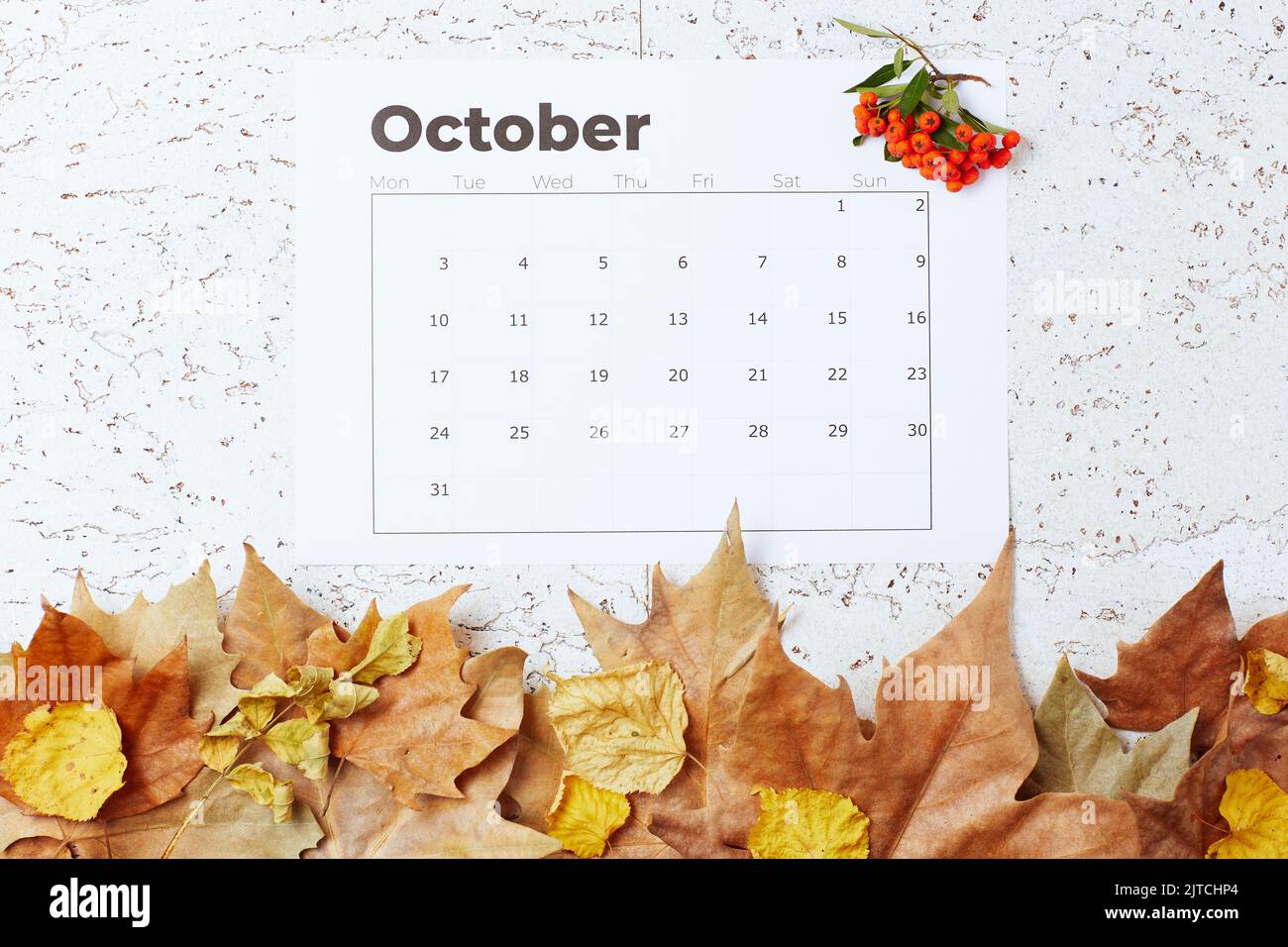 autumn background with October calendar, pyracantha and leaves Stock ...