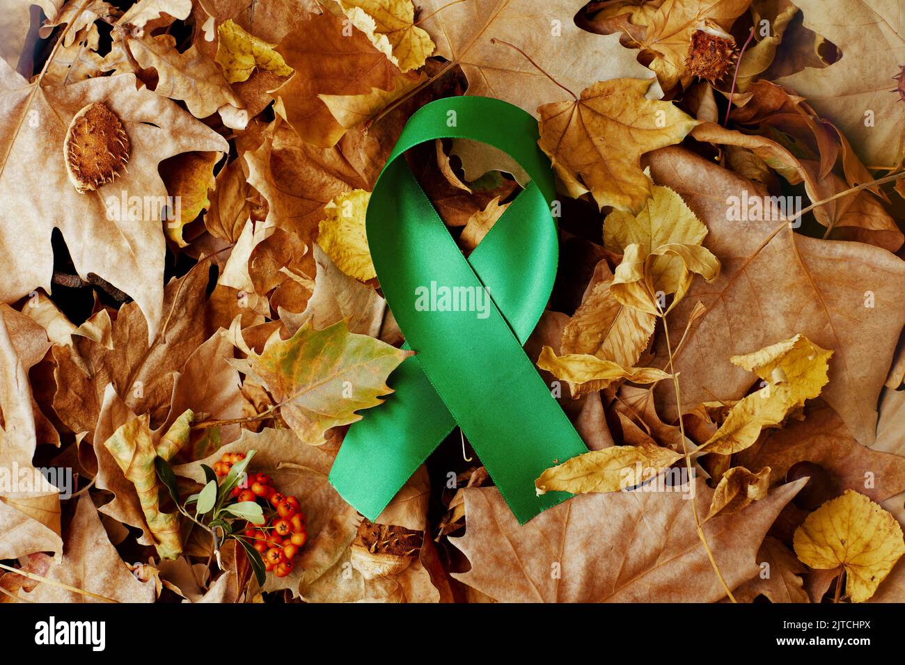 autumn background with mental health day ribbon, pyracantha and leaves ...