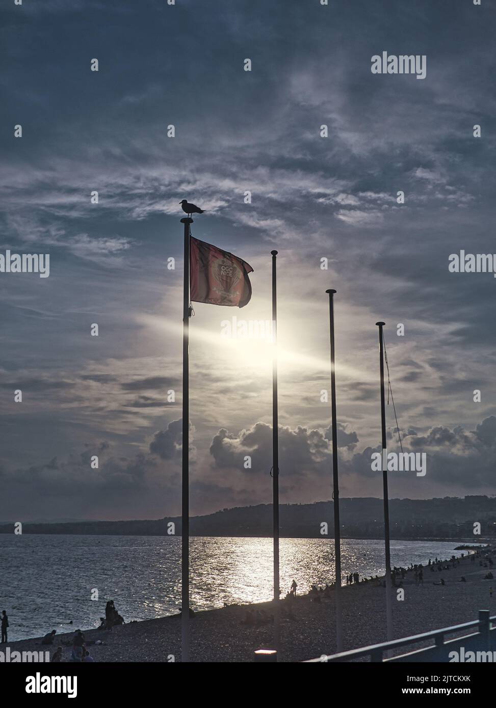 A view of a gull sitting on top of the OGC Nice Football club flag pole ...