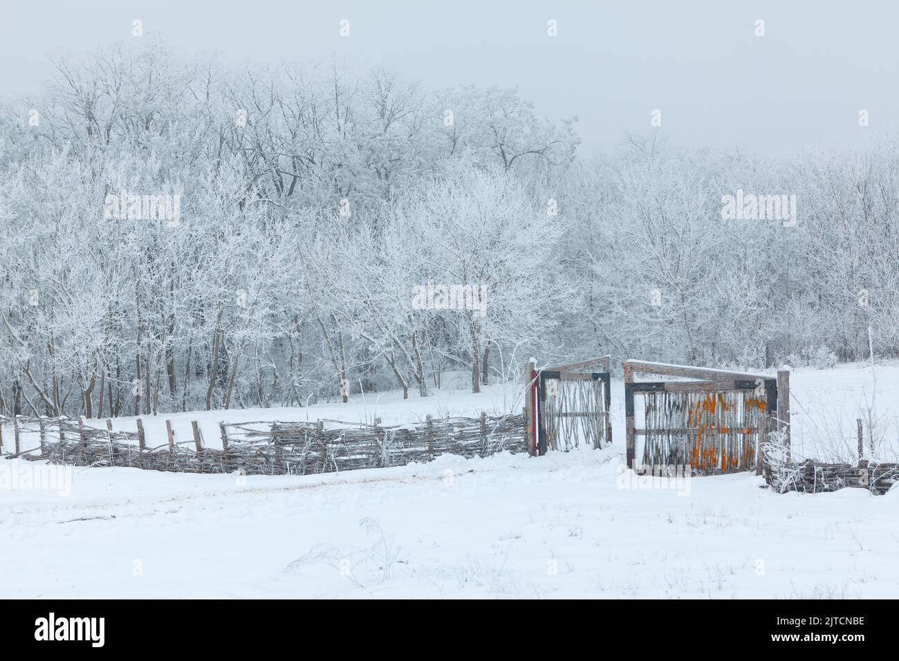 Wooden gate on a nature reserve hi-res stock photography and images - Alamy