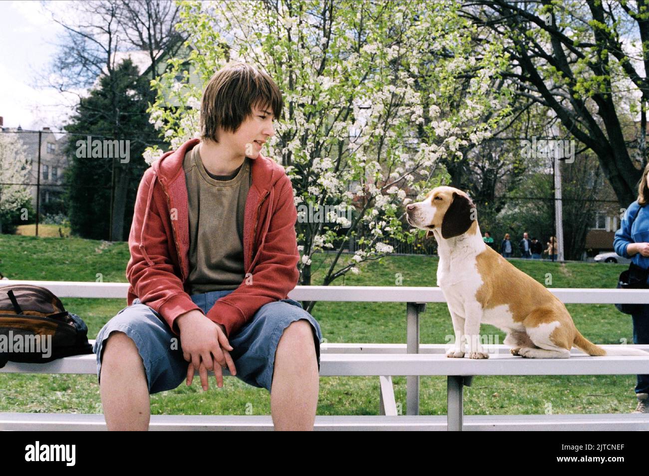 ALEX NEUBERGER, SHOESHINE, UNDERDOG, 2007 Stock Photo - Alamy