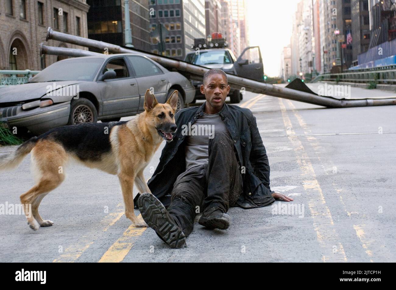 WILL SMITH, DOG, I AM LEGEND, 2007 Stock Photo - Alamy