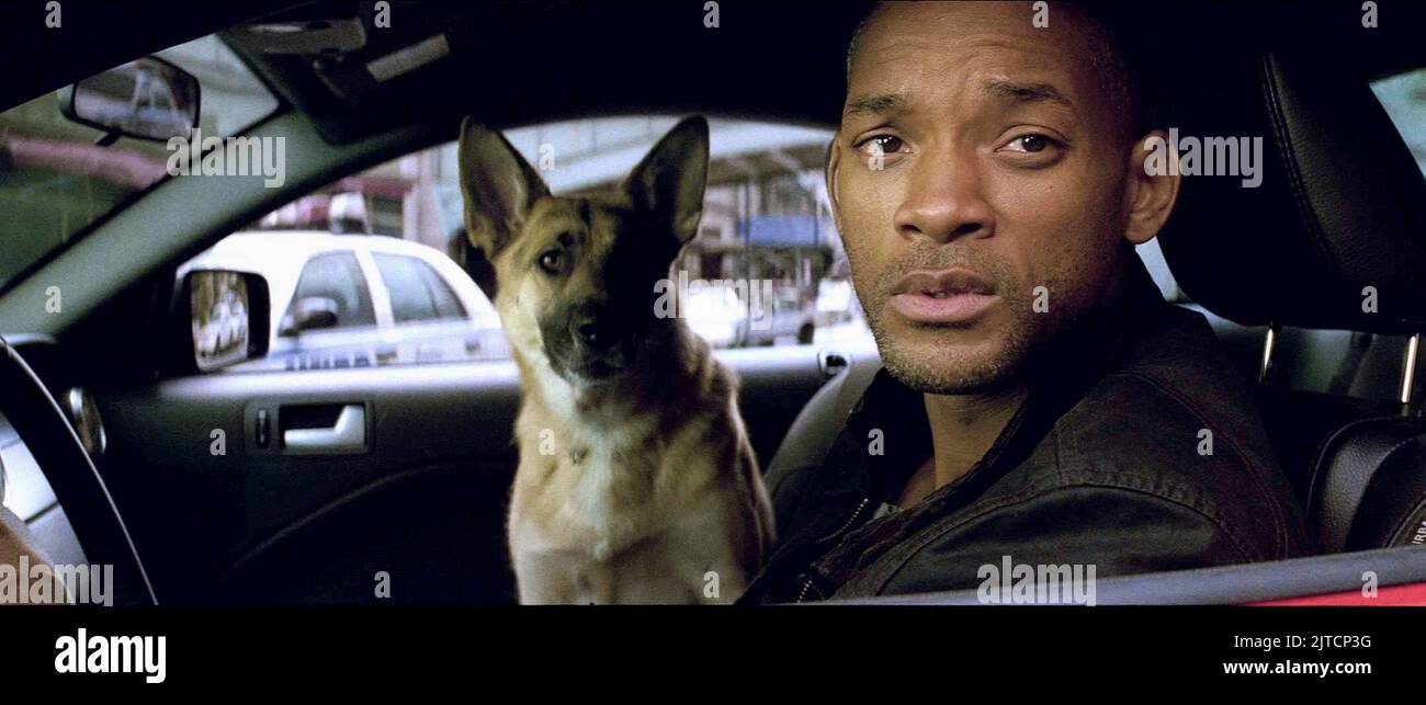 WILL SMITH, DOG, I AM LEGEND, 2007 Stock Photo - Alamy