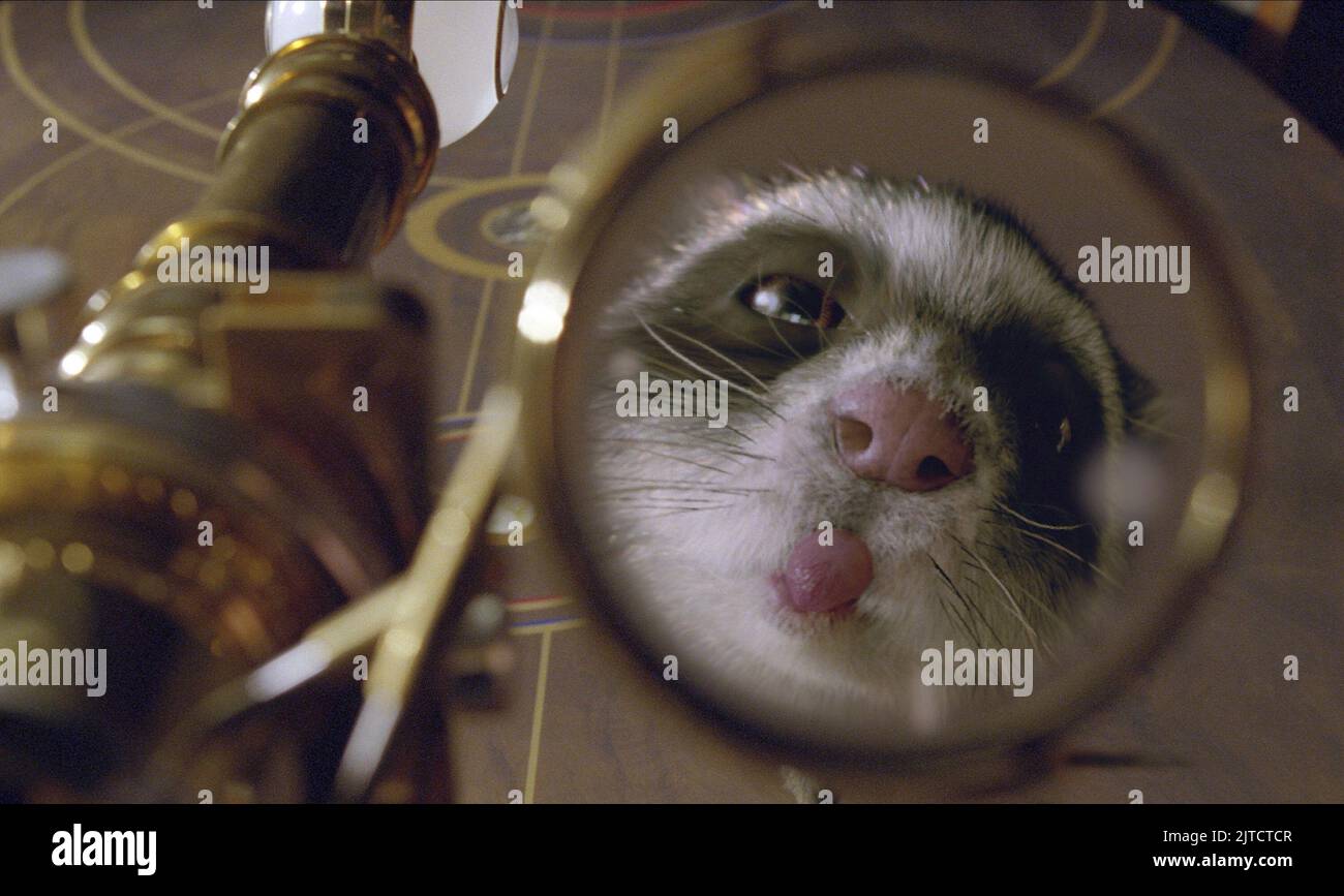 The golden compass hi-res stock photography and images - Alamy