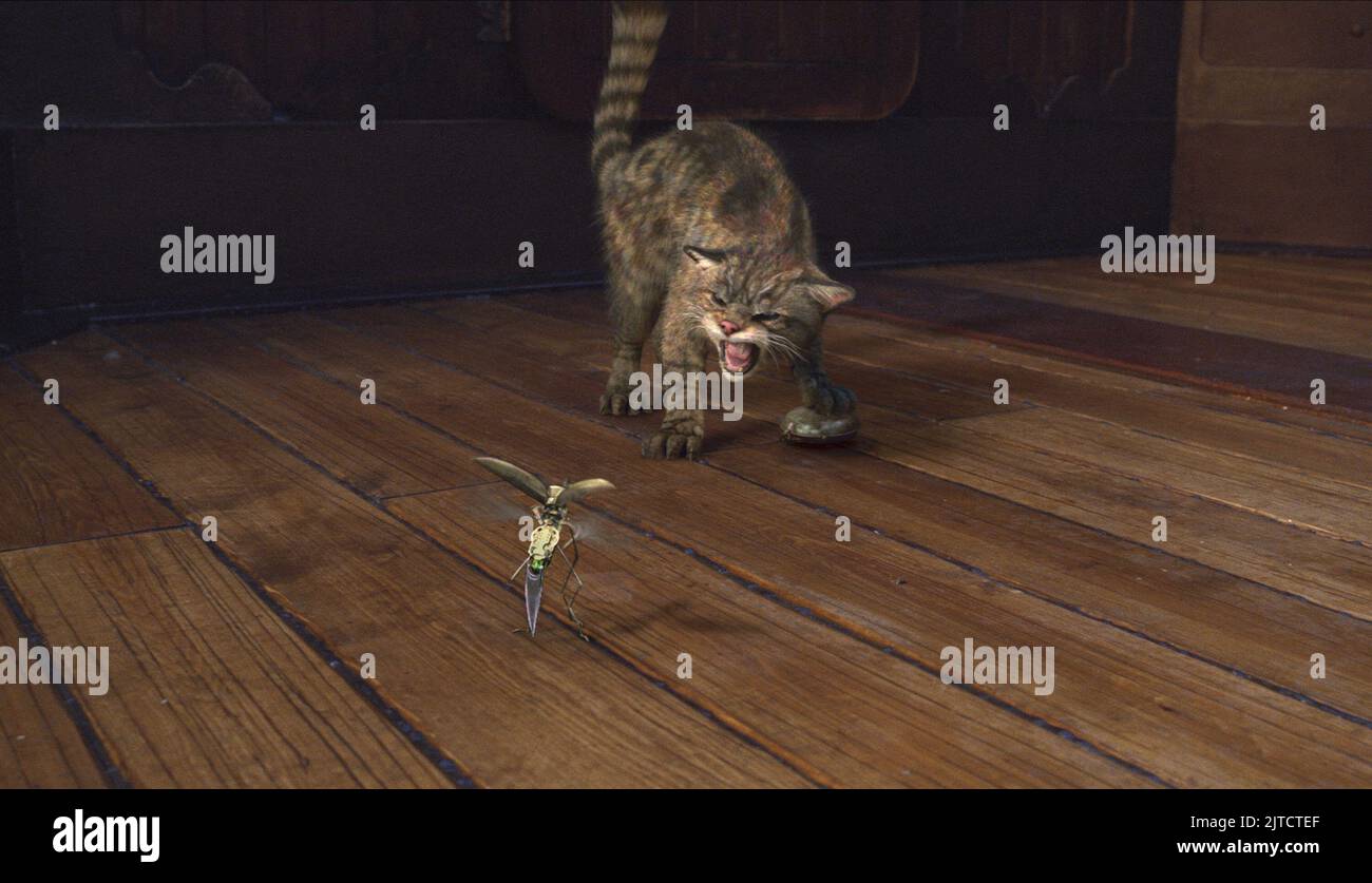 PANTALAIMON, THE GOLDEN COMPASS, 2007 Stock Photo - Alamy