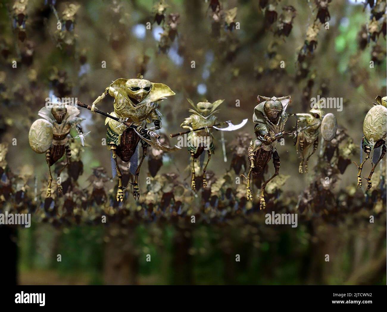 Sword wielding insects hi-res stock photography and images - Alamy