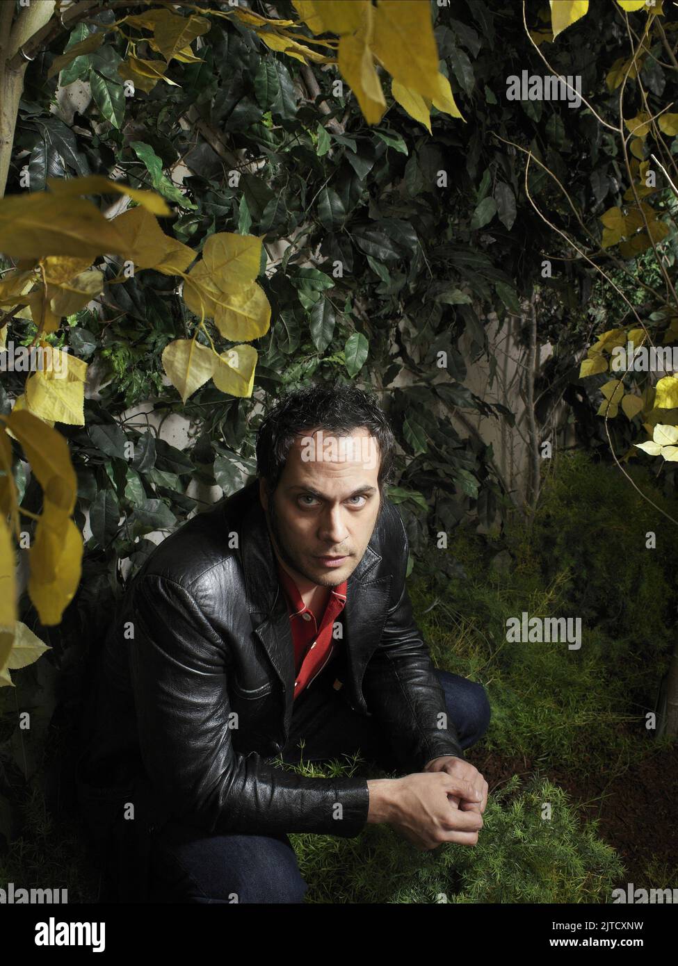 TODD STASHWICK, THE RICHES, 2007 Stock Photo - Alamy