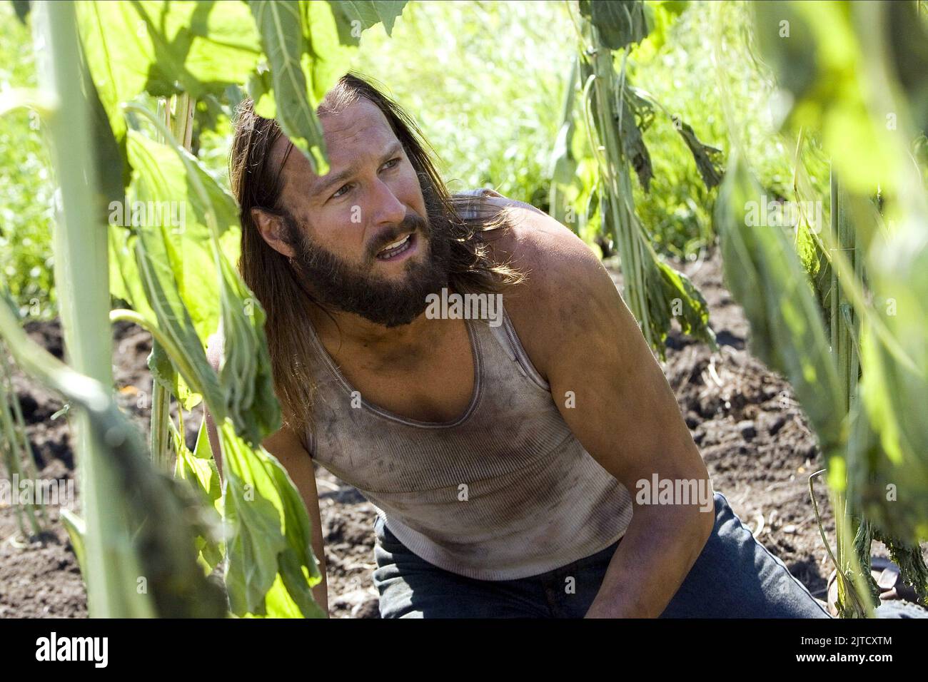 JOHN CORBETT, THE MESSENGERS, 2007 Stock Photo - Alamy