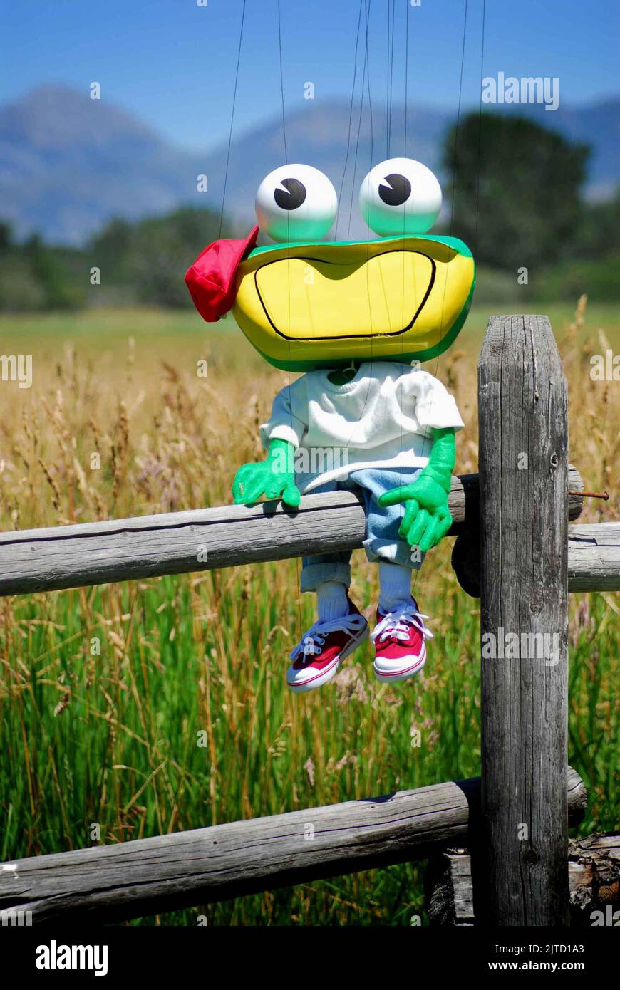 FROGGY DOO, A PLUMM SUMMER, 2007 Stock Photo - Alamy