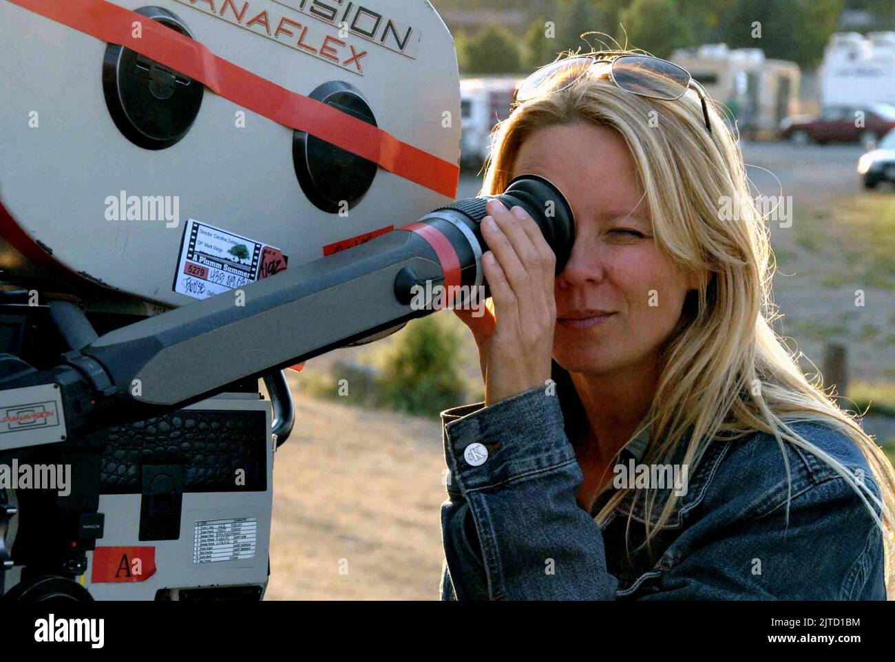 CAROLINE ZELDER, A PLUMM SUMMER, 2007 Stock Photo - Alamy