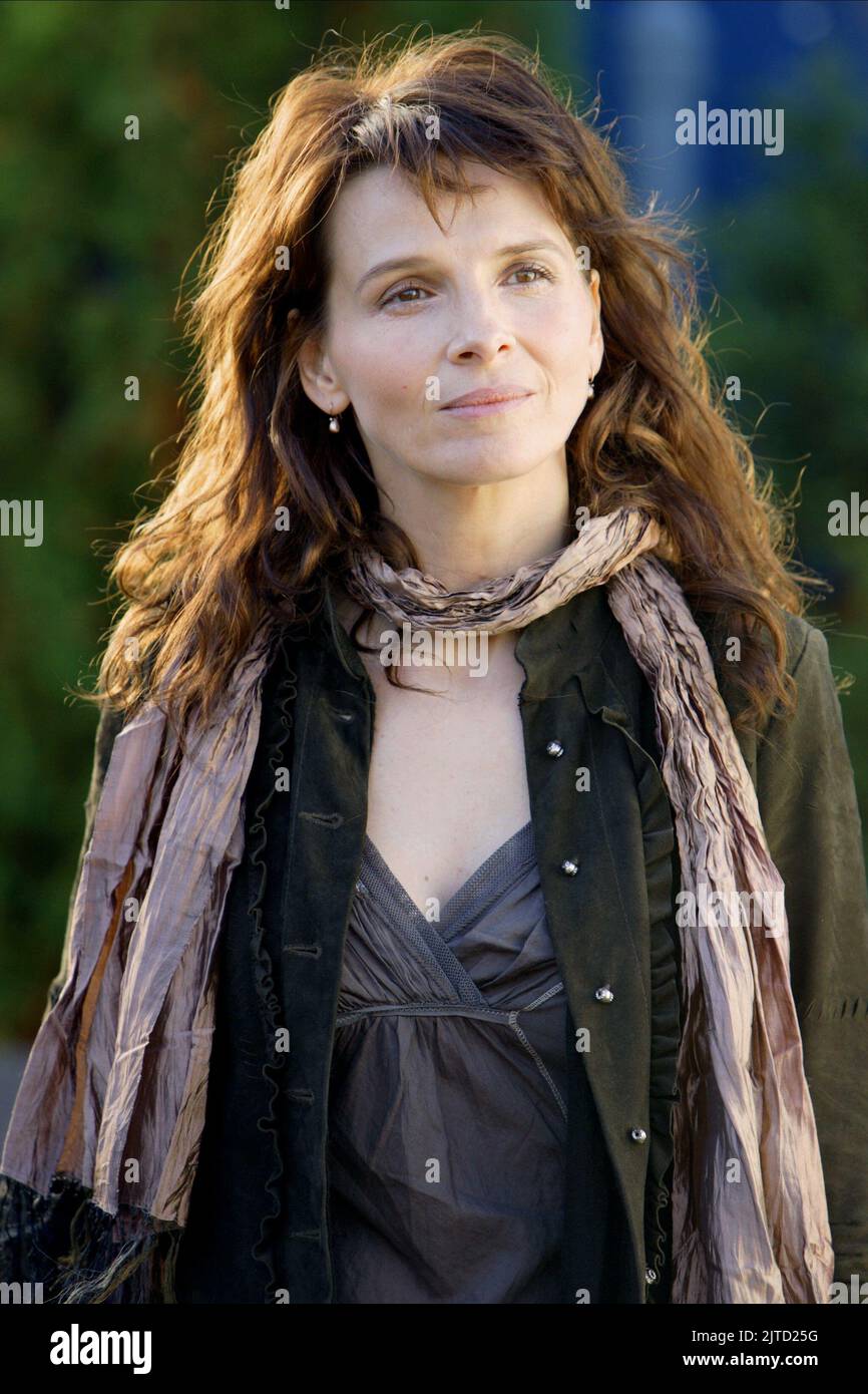 Dan In Real Life Poster